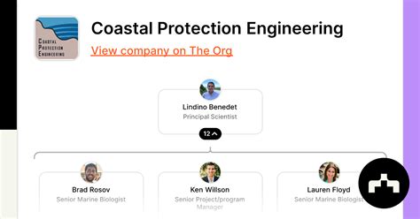 Coastal Protection Engineering The Org