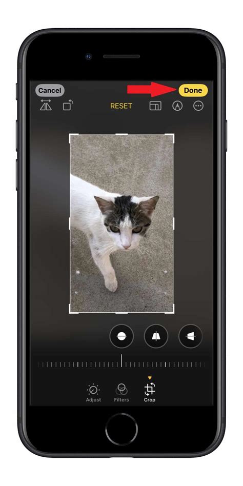 How To Quickly Crop Images In IOS