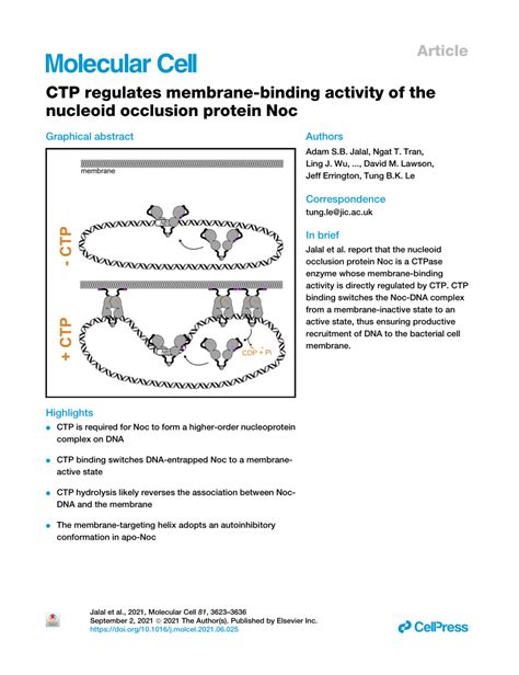Pdf Ctp Regulates Membrane Binding Activity Of The Nucleoid Occlusion