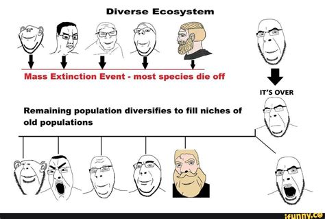 Diverse Ecosystem By Mass Extinction Event Most Species Die Off Its Over Remaining Population