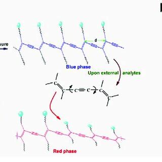 A Structure Of PDA In Different Phases And The Colorimetric Download Scientific Diagram