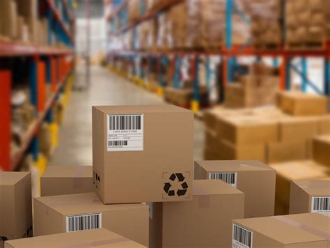 Cargobot Pool Choose The Right Ptl Transport Partner