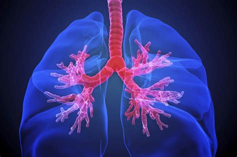 50 Facts About Idiopathic Dilatation Of The Pulmonary Artery