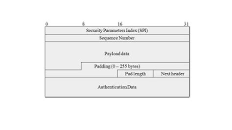 Solved A Which Part Of The Packet Is Encrypted B Chegg