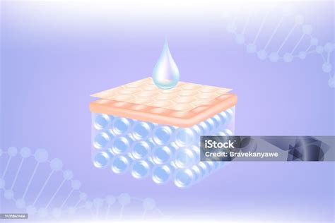히알루론산 모발 및 피부 솔루션 광고 블루 콜라겐 세럼 드롭을 화장품 광고 배경으로 피부 세포 위에 떨어 뜨려 사용할 준비 일러스트 벡터 Dna에 대한 스톡 벡터 아트 및