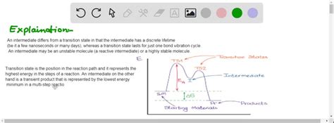 Solved What Is The Difference Between A Transition State And An