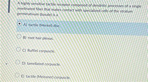 Solved A Highly Sensitive Tactile Receptor Composed Of