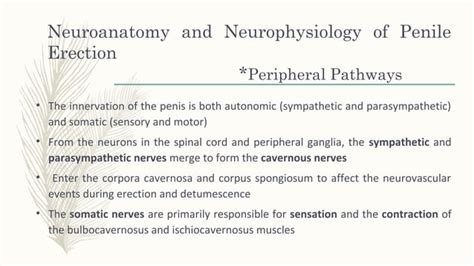 Electrical Stimulation For Erectile Dysfunction Ppt Sexual Conditions Sexual Health