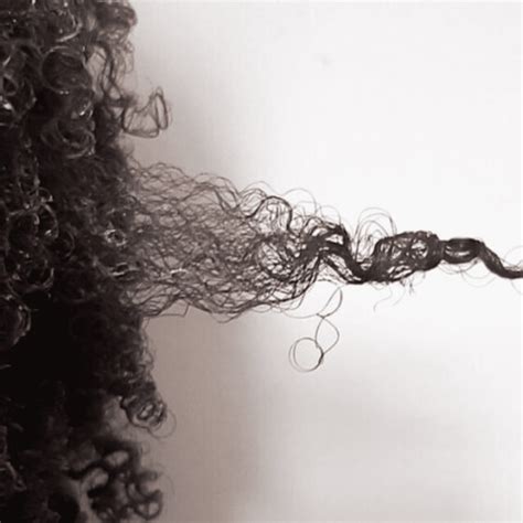 Scab Hair Entenda O Que É Causas e Como Tratar Blog Oscar