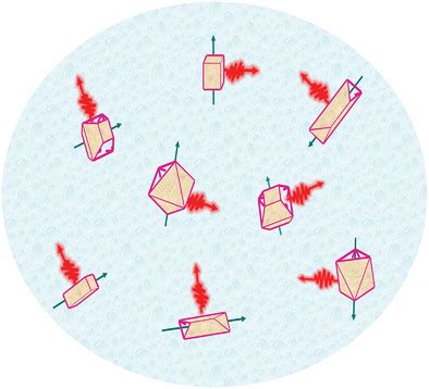 Orthogonally Polarized Luminescence Of Single Bismuth Phosphate