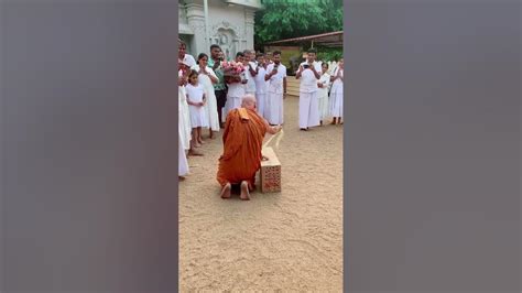 අද දවසේ දැක්ක ලස්සන පින්බර දසුනක් 🙏☸️ ️ සාදු සාදු සාදු Youtube