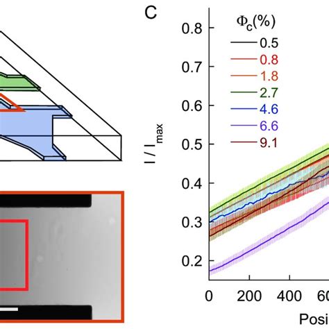 Collective Motion In Bacterial Suspensions A Typical Snapshot Of The