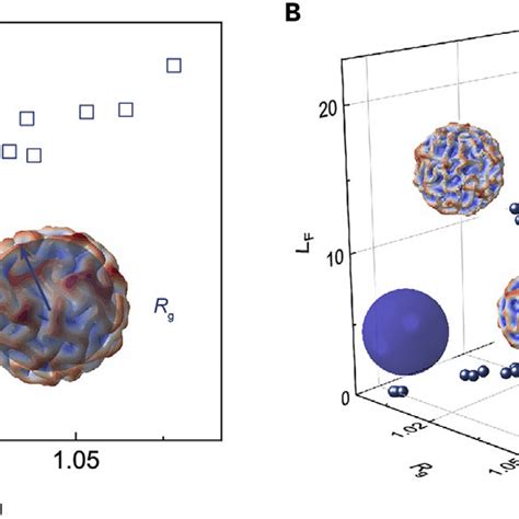 The Morphological Distribution Of The 3d Brain In The Space Of