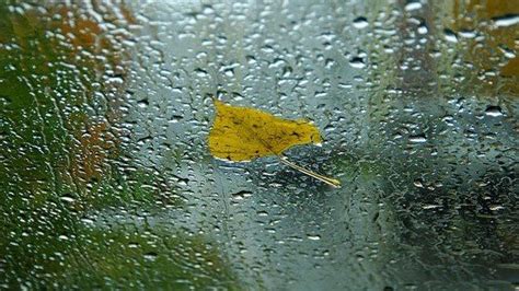 Улаанбаатарт түр зуурын бороотой News Mn