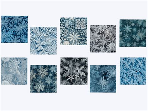 Not Tileable Digital Paper Snow Crystals 10 Beautiful Snowflake Designs Ideal For Print On Not Tileable Digital Paper Snow Crystals 10 Beautiful Snowflake Designs Ideal For Print On