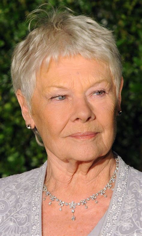 32 Ways To Style A Pixie Cut As Seen In Hollywood Judy Dench Hair