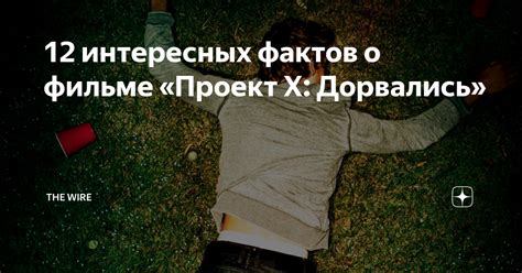 12 интересных фактов о фильме «Проект Х Дорвались The Wire Дзен
