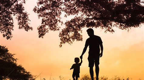 3 4 Cognitive Development Across The Lifespan Sly Academy