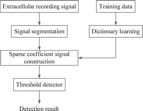 Table 1 From A Novel Extracellular Spike Detection Algorithm Based On Sparse Representation