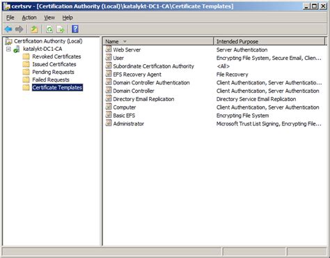 Katalykt Preparing A Microsoft Ca Ssl Certificate Template For Vsphere 5x