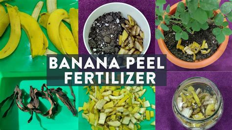 Banana Peel Fertilizer For Plants 4 Ways To Use Banana Peels In Your