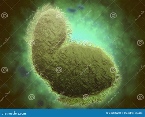 Microscopic View Of Respiratory Syncytial Virus Stock Illustration