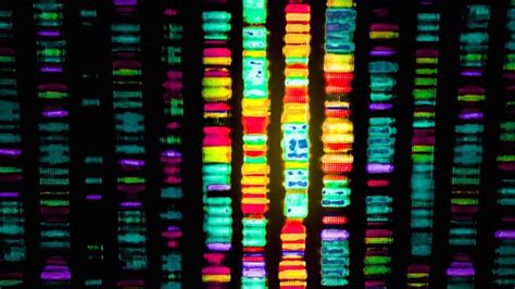 Variational Autoencoders Explained By Shivang Mistry Analytics