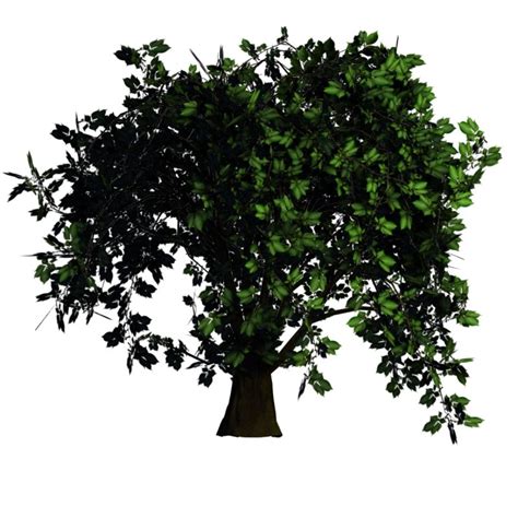 Tree Modeling And Setup Tutorial BlenderNation