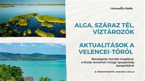Velencei Tó Milyen A Vízszint és A Vízminőség Aktuális állapota Mire
