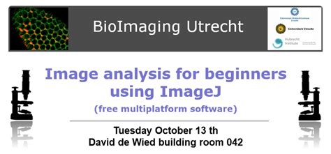 Image Analysis For Beginners Using ImageJ Cell Biology Neurobiology And Biophysics Utrecht