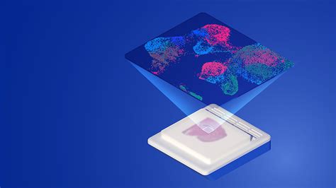 A Pathologists Perspective Advantages Of Using Ffpe Tissues For