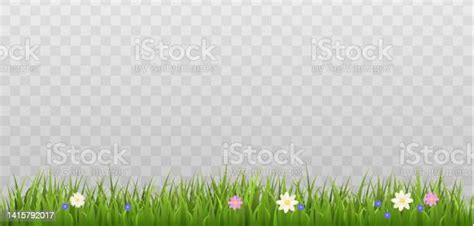 봄 꽃이있는 완벽한 잔디 테두리 투명한 배경에 사실적인 평면 벡터 일러스트레이션 반복 요소에 대한 스톡 벡터 아트 및 기타 이미지 반복 요소 환경 보전 0명 Istock