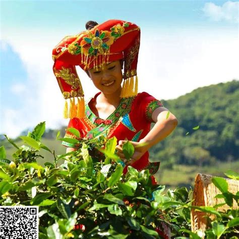 临沧茶尊天下茶大美临沧传递给世界的名片 lczbd 风起 王文军