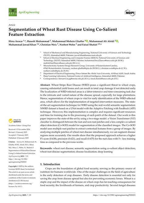pdf segmentation of wheat rust disease using co salient feature
