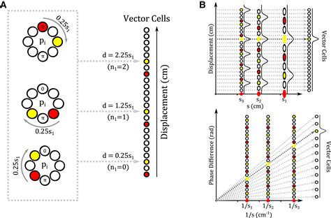 Using Grid Cells For Navigation Neuron