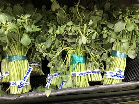 Herb Leaves Identification