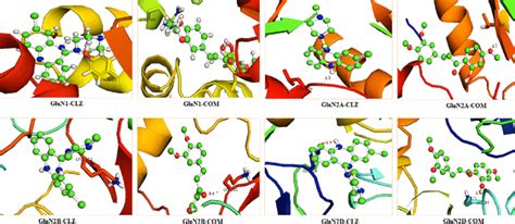 3 Dimensional Interactions Of Compound And Clozapine With Glutamate Download Scientific Diagram
