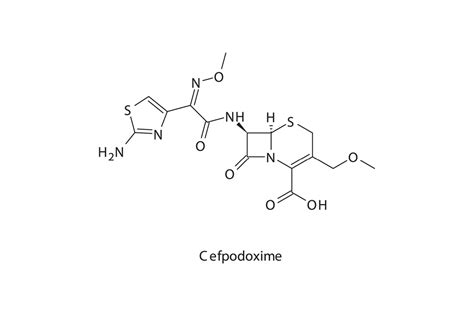 Uses Of Cefpodoxime For Dogs Side Effects And Much More