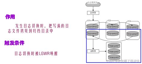 Oracle体系结构 Csdn博客