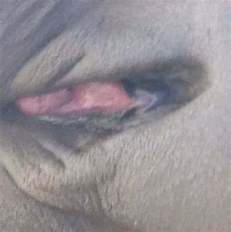 Lick Me Please Bre197048