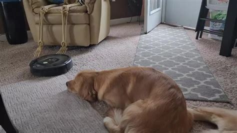 Booop Album On Imgur