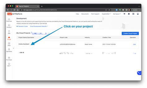 ℹ️ Tuya Integration Not Working · Issue 80278 · Home Assistant Core · Github