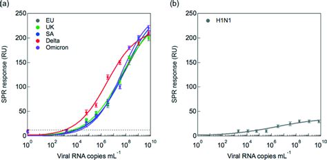 Figure S5 Spr Response On Vhh 72 Fc Modified Gold Prims To 150 Download Scientific Diagram