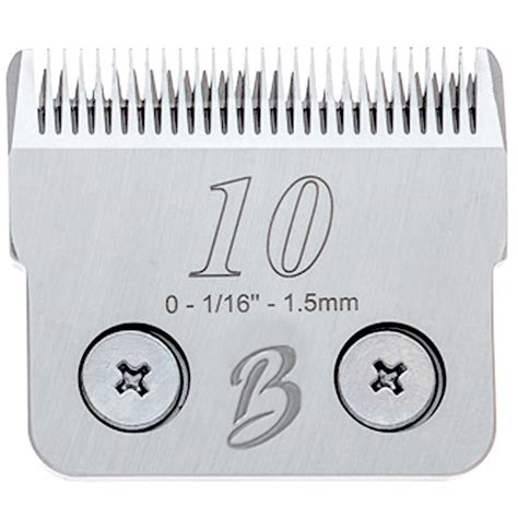 Bucchelli D Series 10 For Groomers And Stylist Shearsdirect