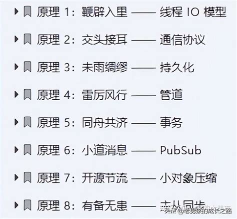 绝了，阿里大佬的“redis深度核心笔记“，从基础到源码，全是精华阿里大佬 Redis深度学习笔记 Csdn博客