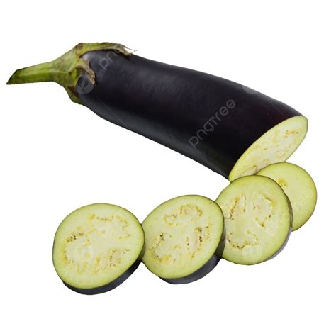 자른 가지 가지 클립 아트 하나 절개 Png 일러스트 및 이미지 에 대한 무료 다운로드 Pngtree