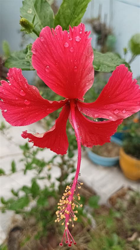 Pankaj Yadav Fotografía