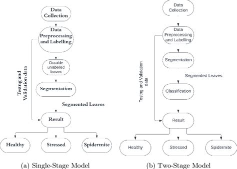 Detection Of Spider Mites On Labrador Beans Through Machine Learning