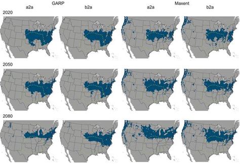 Brown Recluse Spiders May Invade Northern Us As Planet Warms Live