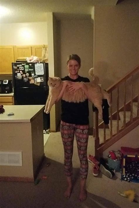 Big Boy Scrolller Big Boy Scrolller